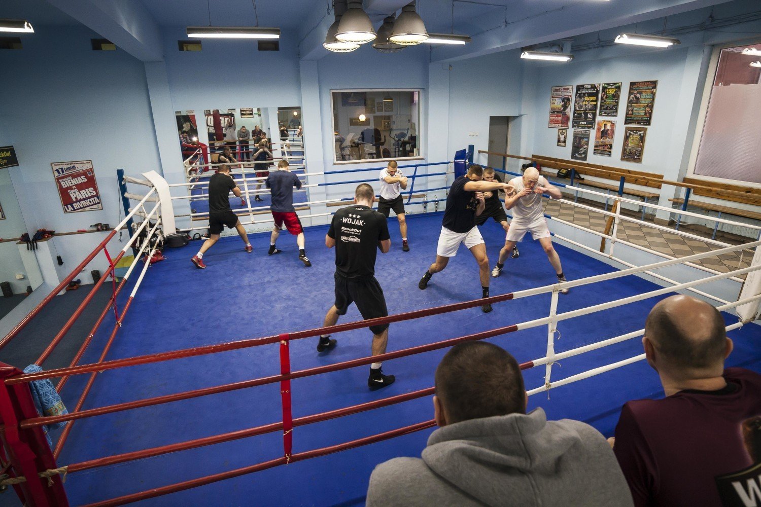 KnockOut Gym kończy 15 lat. Tam wychowują się mistrzowie świata i ...