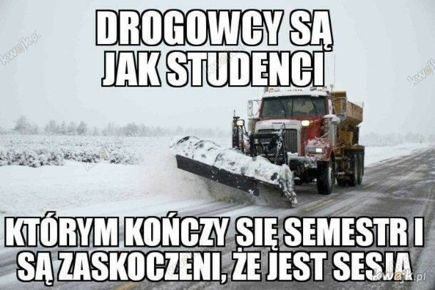 Zobacz najlepsze MEMY o zimie. Śnieg w grudniu znów wszystkich ...