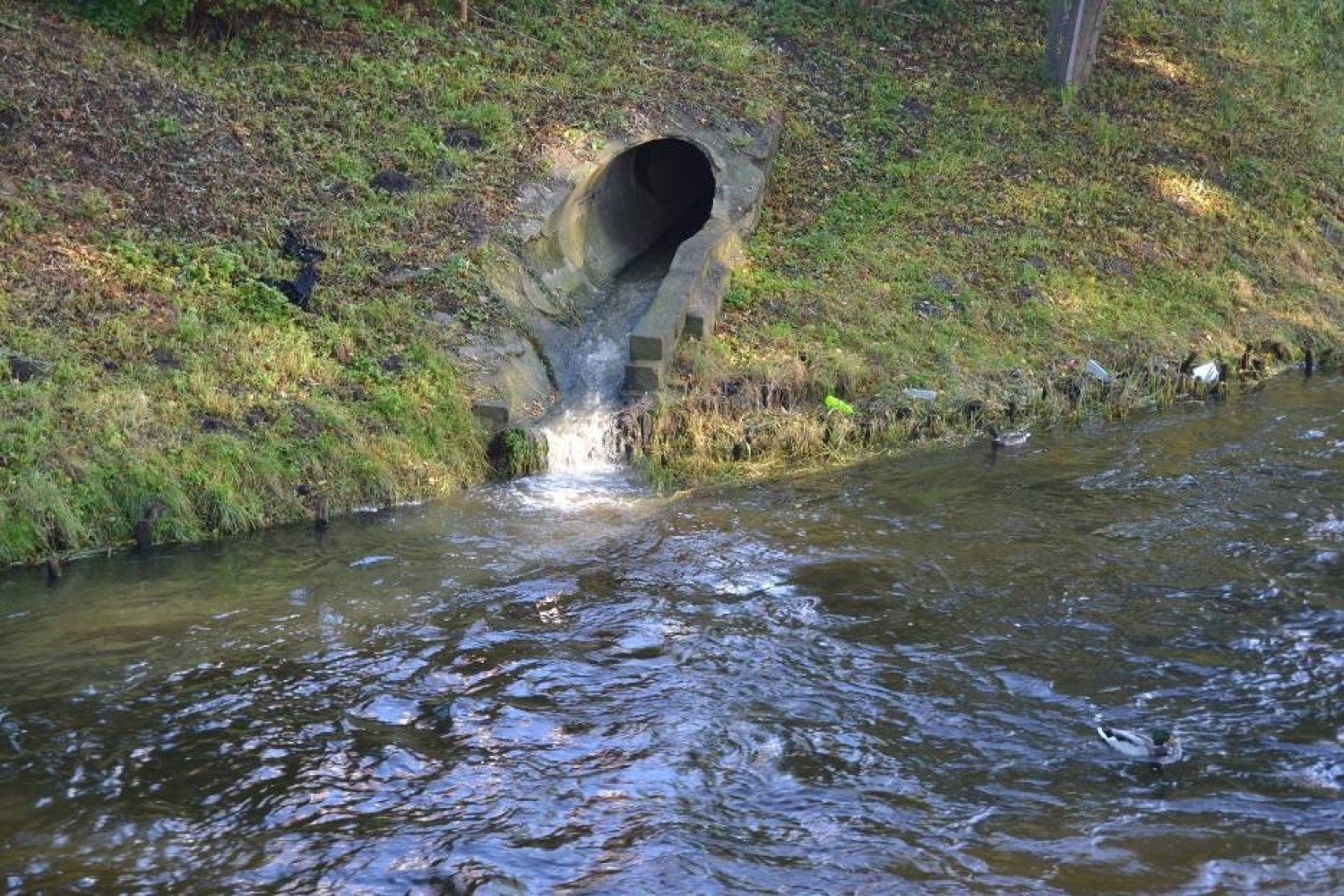 Rzeka Łeba wylała w Lęborku | pomorskie Nasze Miasto