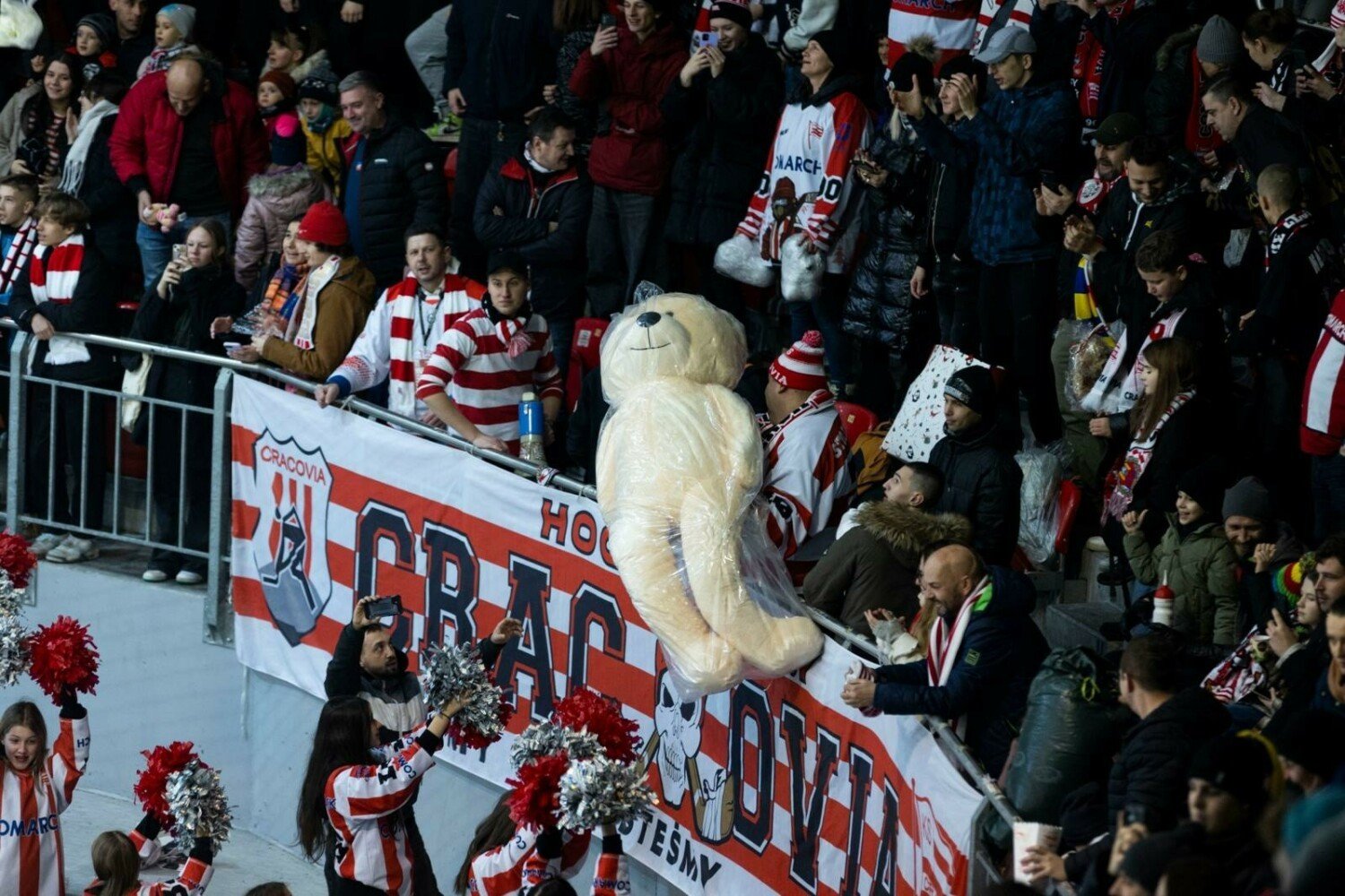 Teddy Bear Toss czyli setki pluszaków na lodowisku Cracovii. Zdjęcia ...