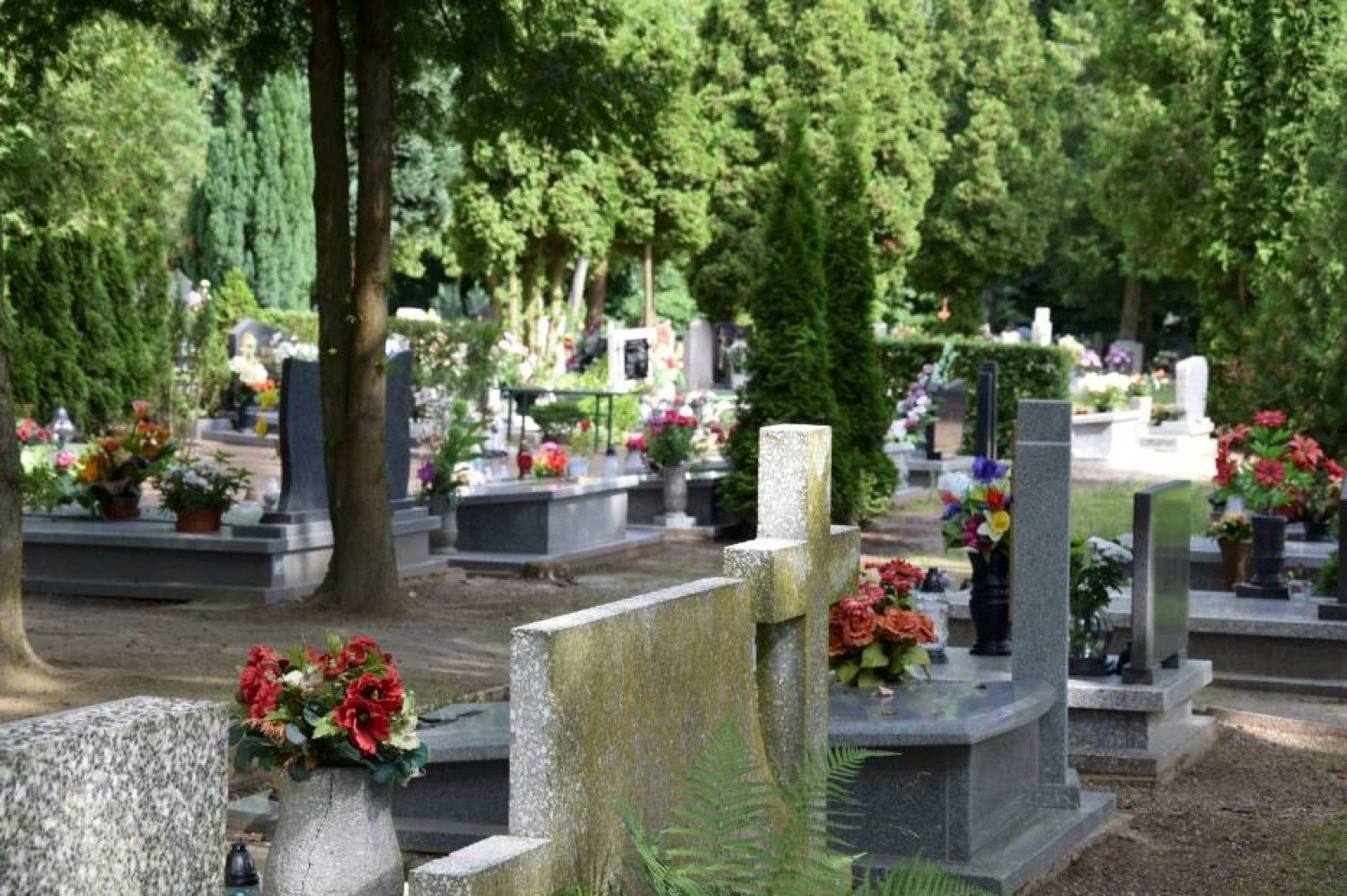 Szukając grobu skorzystaj z internetowej wyszukiwarki grobonet ...