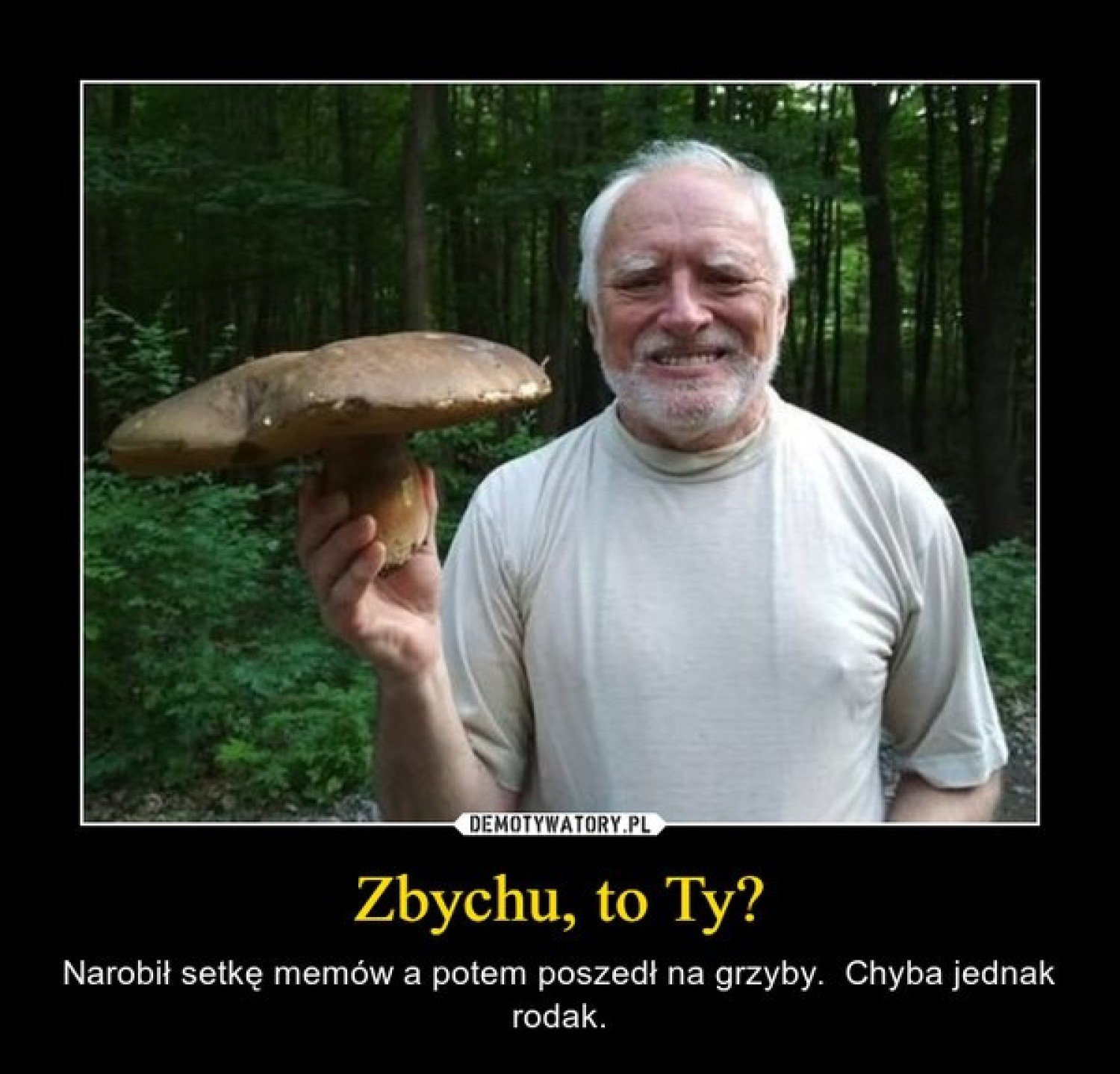 MEMY o grzybiarzach i grzybobraniu. Grzybobranie 2020 nabiera rumieńców ...