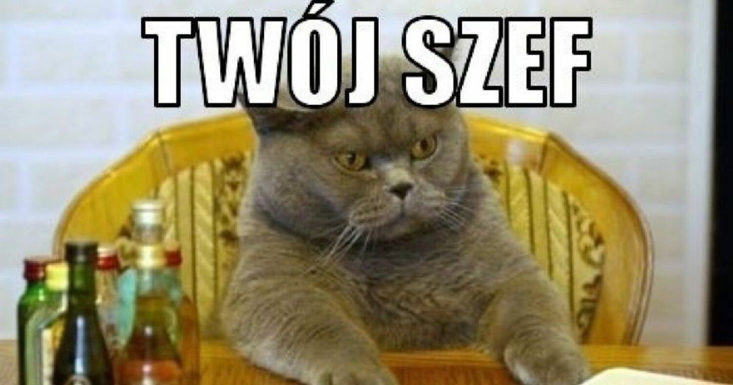 Typowy szef Janusz. Jest skąpy, wymagający i gburowaty. Jak wygląda ...